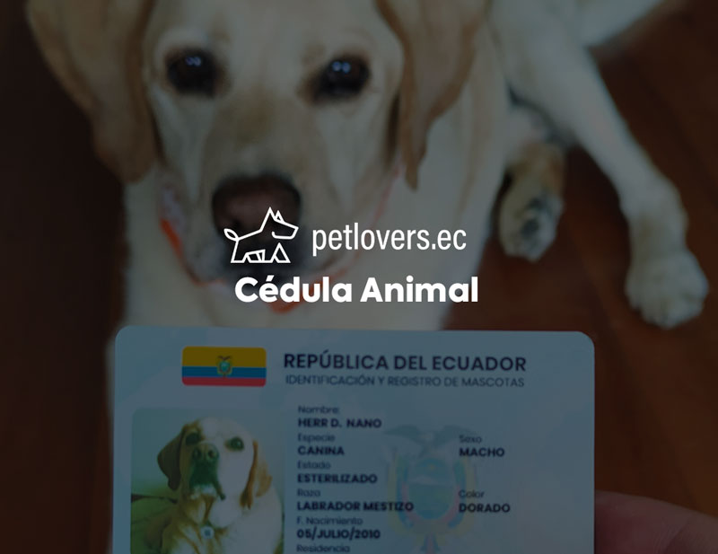 Cédula para mascotas - PetLovers Ecuador